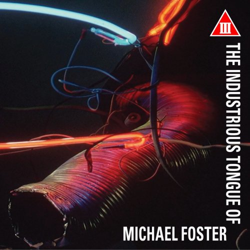 Michael Foster - The Industrious Tongue (2022) - Download album ...