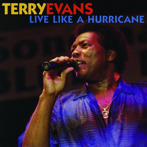 Terry Evans - Live Like a Hurricane (2003) | jazznblues.org