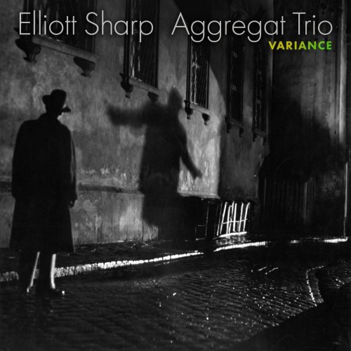 Elliott Sharp - Aggregat Trio: Variance (2022) - Download album ...