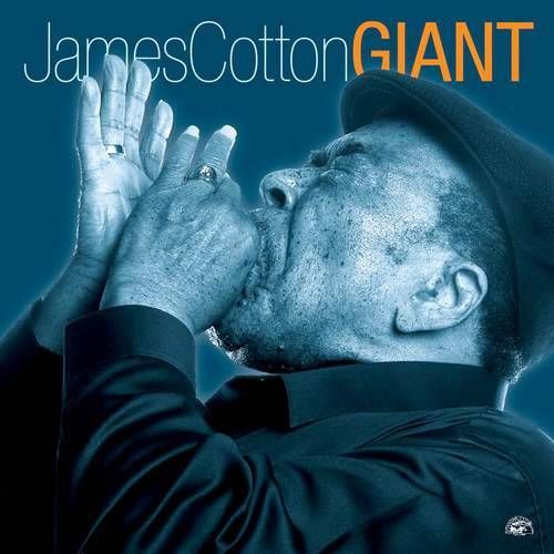 James Cotton - Giant (2010) - Download album | jazznblues.org