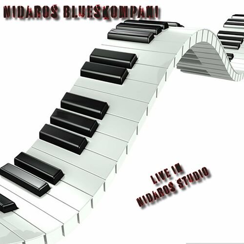Nidaros Blueskompani - Live in Nidaros Studio (2022) | jazznblues.org