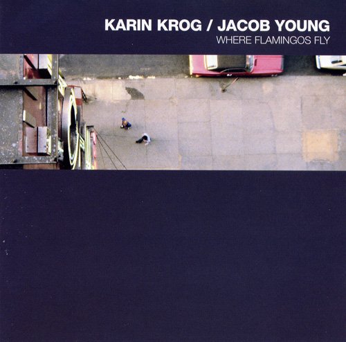 Karin Krog & Jacob Young - Where Flamingos Fly (2002) | jazznblues.org