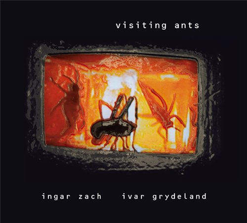 Ingar Zach & Ivar Grydeland - Visiting Ants (2000) - Download album ...