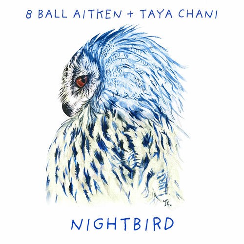 8 Ball Aitken + Taya Chani - Nightbird (2025) - Download album ...